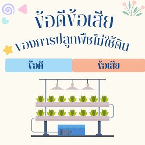 Infographic – DOAE K-STATION