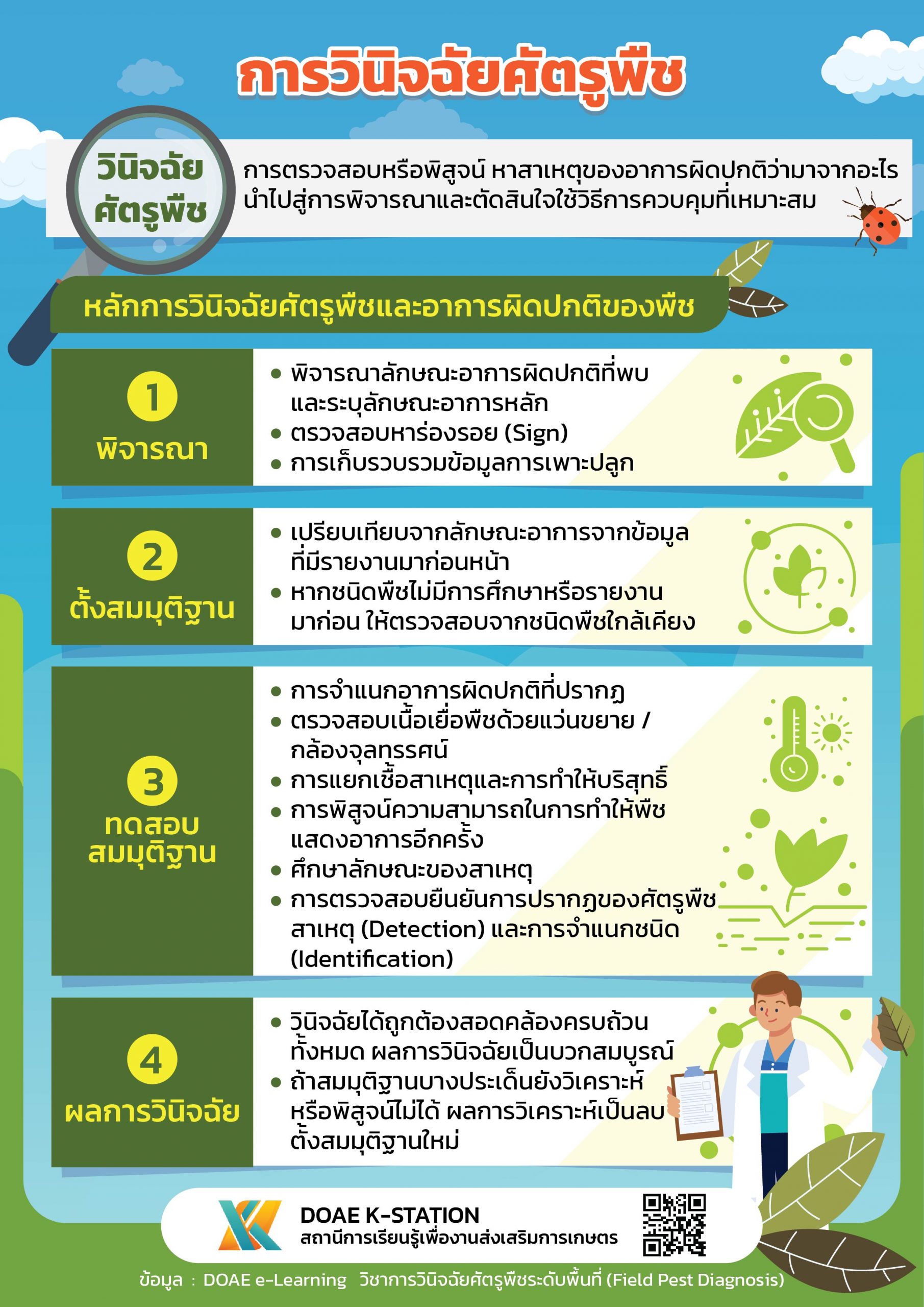 การวินิจฉัยศัตรูพืช – DOAE K-STATION