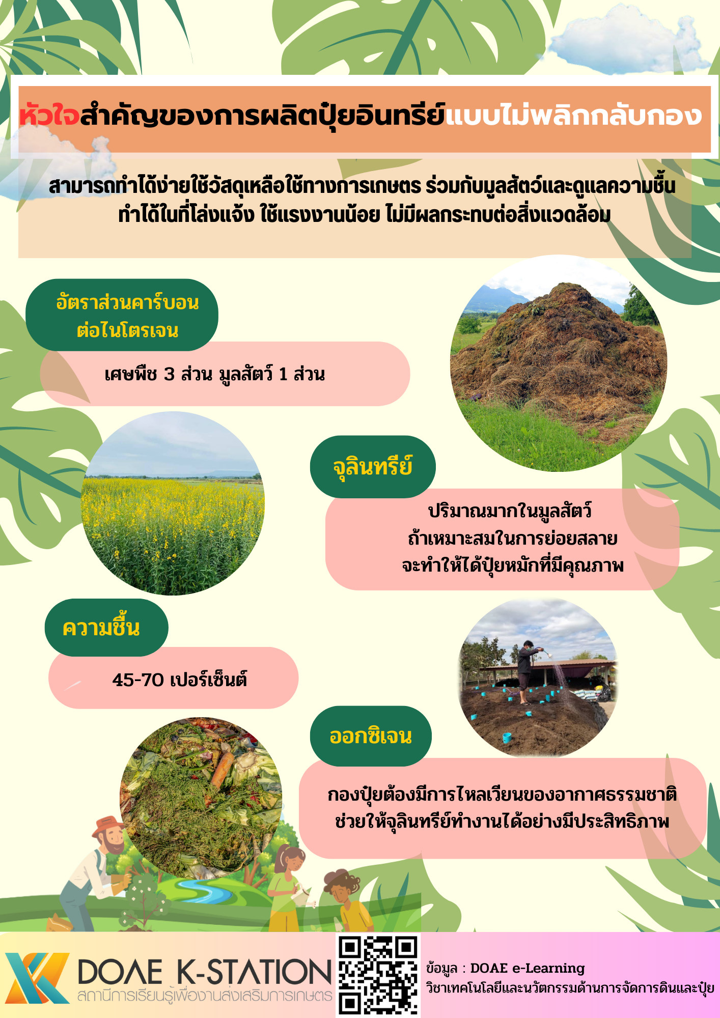 หัวใจสำคัญของการผลิตปุ๋ยอินทรีย์แบบไม่พลิกกลับกอง – DOAE K-STATION